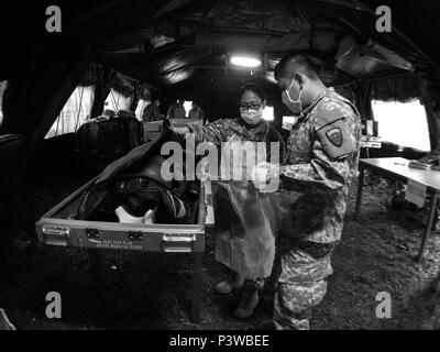 Soldiers from the 387th Quartermaster Company, Mortuary Affairs ...