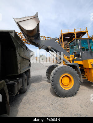 an industrial excavator loads the truck body with raw materials. pour ...