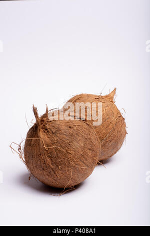 Two big brown whole coconuts close up copy space isolated on white ...