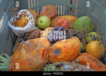 Frutas podres jogadas fora em lixo de supermercado Stock Photo - Alamy