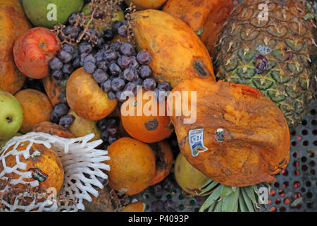 Frutas podres jogadas fora em lixo de supermercado Stock Photo - Alamy