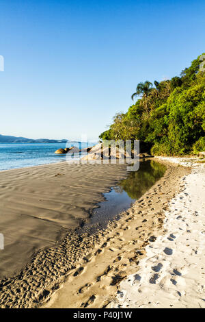 Praia da Daniela. Florianópolis, Santa Catarina, Brasil Stock Photo - Alamy