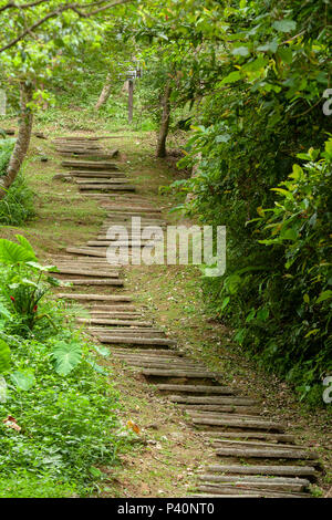 The stacked logs surrounded by green vegetation against the blue sky ...