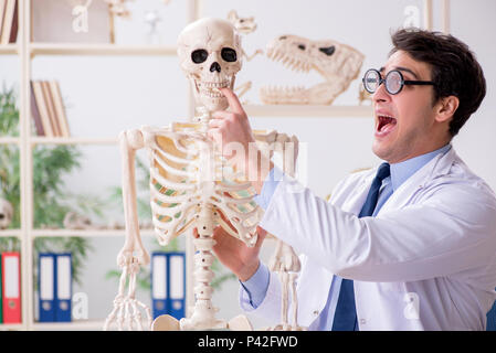 Crazy professor studying human skeleton Stock Photo - Alamy