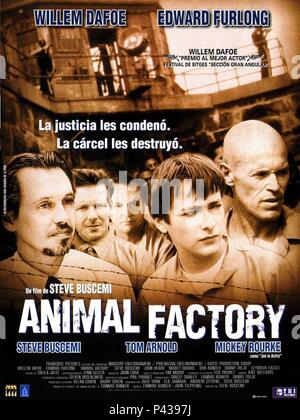 Animal Factory Year 2000 Director Steve Buscemi Danny Trejo Stock Photo ...