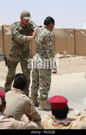 A Royal Danish army soldier, assigned to Task Force Al Asad, scans the ...