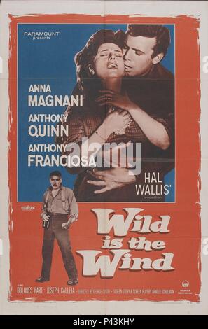 Original Film Title: WILD IS THE WIND. English Title: WILD IS THE WIND ...