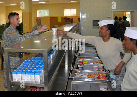 Soldiers with the 230th Brigade Support Battalion, 30th Armored Stock ...
