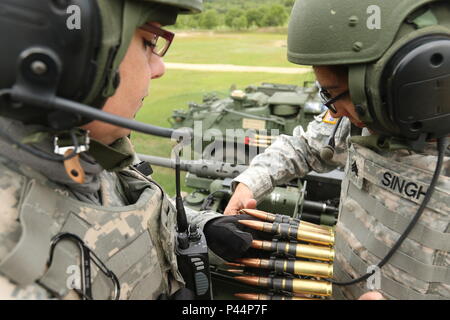 Staff Sgt. Ashley Ferg, Stryker Reconnaissance Platoon Chemical ...