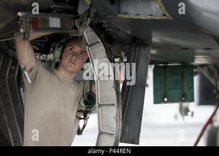 F-35 Joint Strike Fighter engine intake Stock Photo: 20471985 - Alamy
