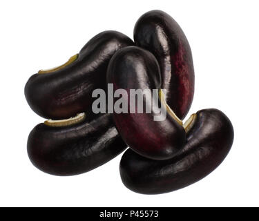 Vigna mungo, the black gram, urad bean. in the legume family. Organic ...