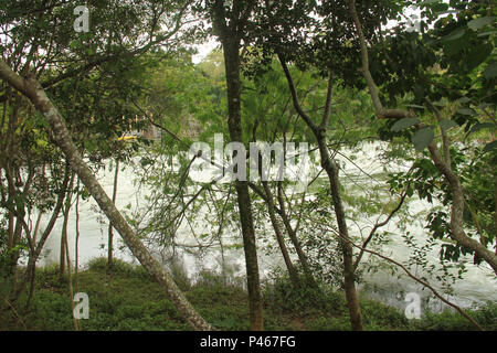 Leito do Rio Paraíba na Cidade de Guararema. GUARAREMA/SP, Brasil 19/07 ...