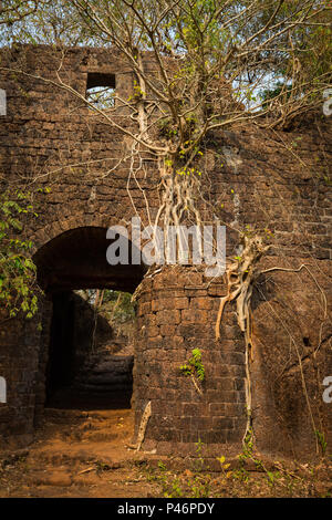 Redi fort in north GOA Stock Photo - Alamy