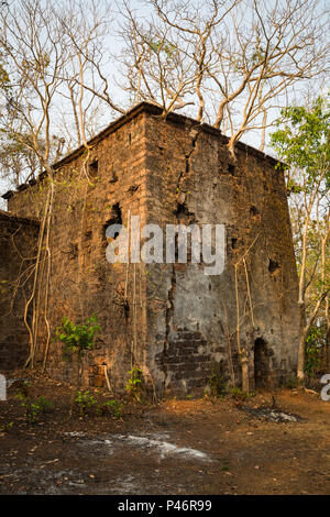 Redi fort in north GOA Stock Photo - Alamy