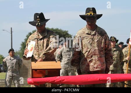 Lt. Col. Lynn Ray and Command Sgt. Maj. Rodney Holloway, Pioneer ...