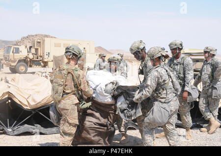 Soldiers assigned to the 630th Combat Sustainment Support Battalion ...