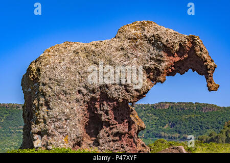 Italy Sardinia Anglona Castelsardo elephant rock Stock Photo - Alamy