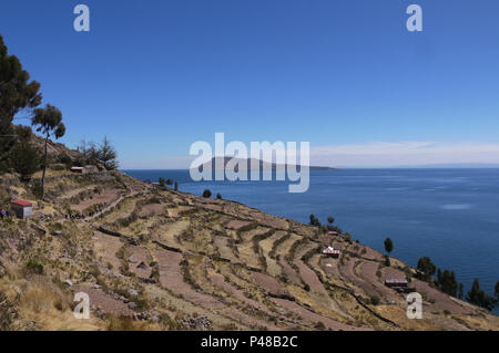 The terraced landscape of a steeply sloping Island of Taquile a ...