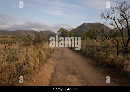 Dirt track passing through landscape Stock Photo - Alamy