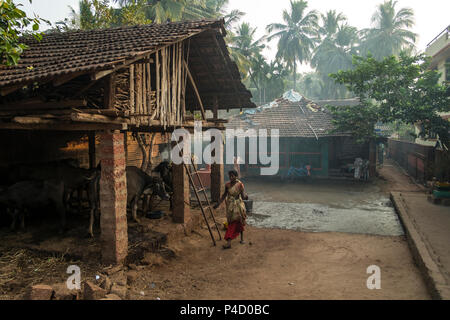 In the village of Malgund in Ratnagiri District of Maharashtra, India ...