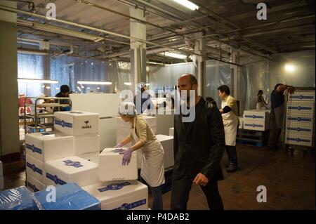 Original Film Title: HUMMINGBIRD. English Title: HUMMINGBIRD. Film ...