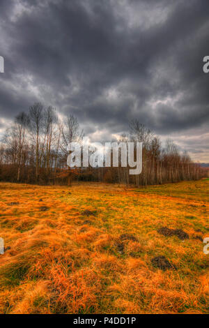 Forest at early spring. Poland, The Holy Cross Mountains Stock Photo ...
