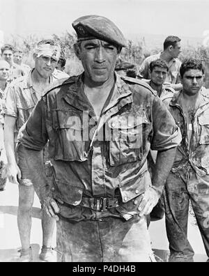 Lost Command Year : 1966 USA Director : Mark Robson Alain Delon Stock ...