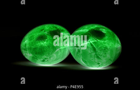 Painted eggs, easter - X-Ray - Isolated on a black background Stock ...