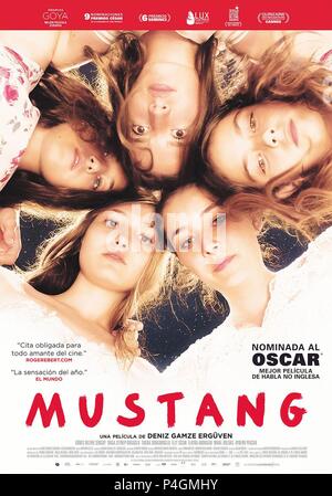Original Film Title: MUSTANG. English Title: MUSTANG. Film Director ...