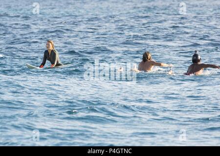 Original Film Title: THE SHALLOWS. English Title: THE SHALLOWS. Film ...