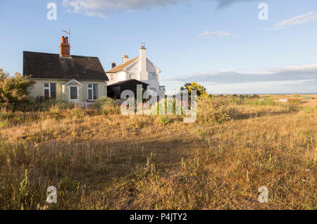 Houses next to the beach summer wildflowers on the SSSI at Shingle ...
