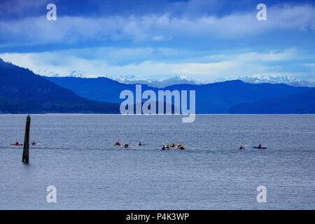 Kayakers in Icy Strait Point Harbor Alaska Stock Photo - Alamy