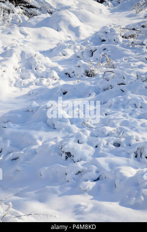 Fragment of the road, covered with a thick layer of snow. The texture ...