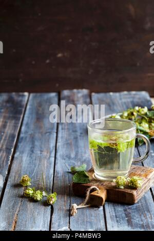 Cup of hop tea (Humulus lupulus) dried hops, hop tea Stock Photo - Alamy