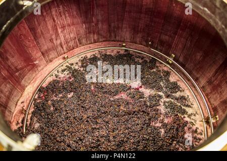 A view inside a wooden fermentation vat tank, Maison Louis Jadot ...