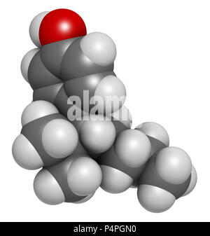 Nonylphenol endocrine disruptor molecule (one isomer shown). Skeletal ...