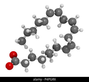 Dihomo-?-linolenic acid (DGLA) fatty acid molecule. Omega 6-fatty acid ...