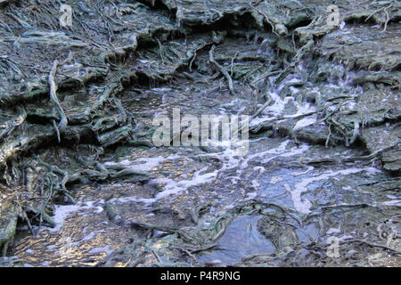 "Forgotten Streams": public artwork by Spanish artist Cristina Iglesias ...