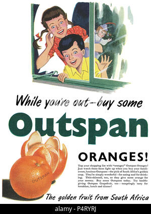 1951 advertisement for Outspan South African oranges and grapefruit ...
