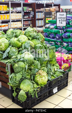 Group of green cabbages in a supermarket, Cabbage background, Fresh ...