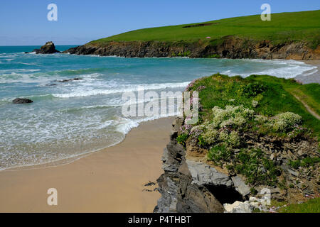 Coast near Trevone Stock Photo - Alamy