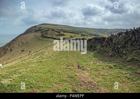 Walking the coast path between Watermouth Cove and Combe Martin in ...