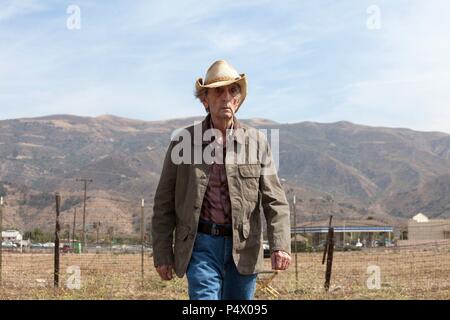 Original Film Title: LUCKY. English Title: LUCKY. Film Director: JOHN ...