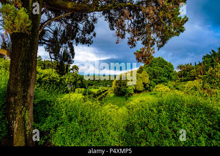 Italy Sardinia Sassari Monserrato Park entrance, bordered by cypresses ...