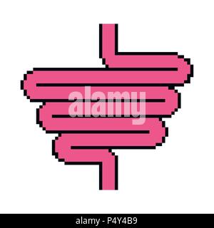 Intestines pixel art. Human internal organs 8 bit. Pixelate anatomy ...