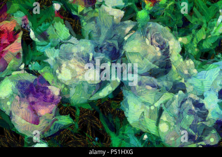 Flowers pink roses, rose ( Latin Rosa Stock Photo - Alamy