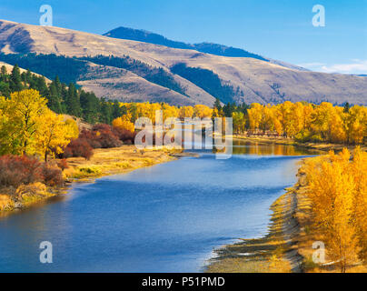 fall colors along the bitterroot river near missoula, montana Stock ...