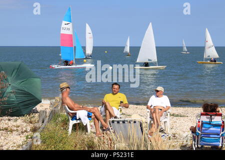 Shells on Shellness beach, Isle of Sheppey, England Stock Photo - Alamy