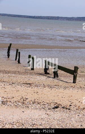 Old weathered groynes protecting against coastal erosion on Shellness ...