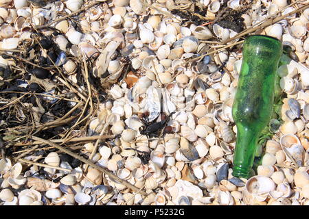 Shellness beach is made almost entirely of shells and little else on ...